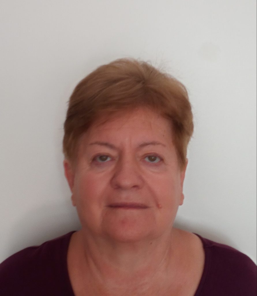 The AVICOM Board - ICOM AVICOM - ICOM AVICOM